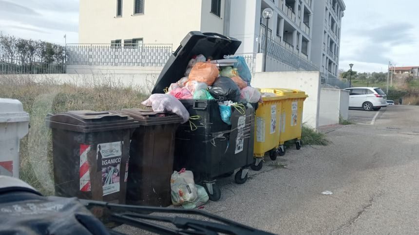 Continuano gli errati conferimenti dei rifiuti: l'appello al rispetto ...
